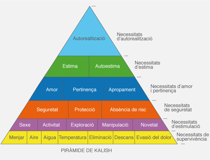 Característiques i necessitats de les persones en situació de dependència